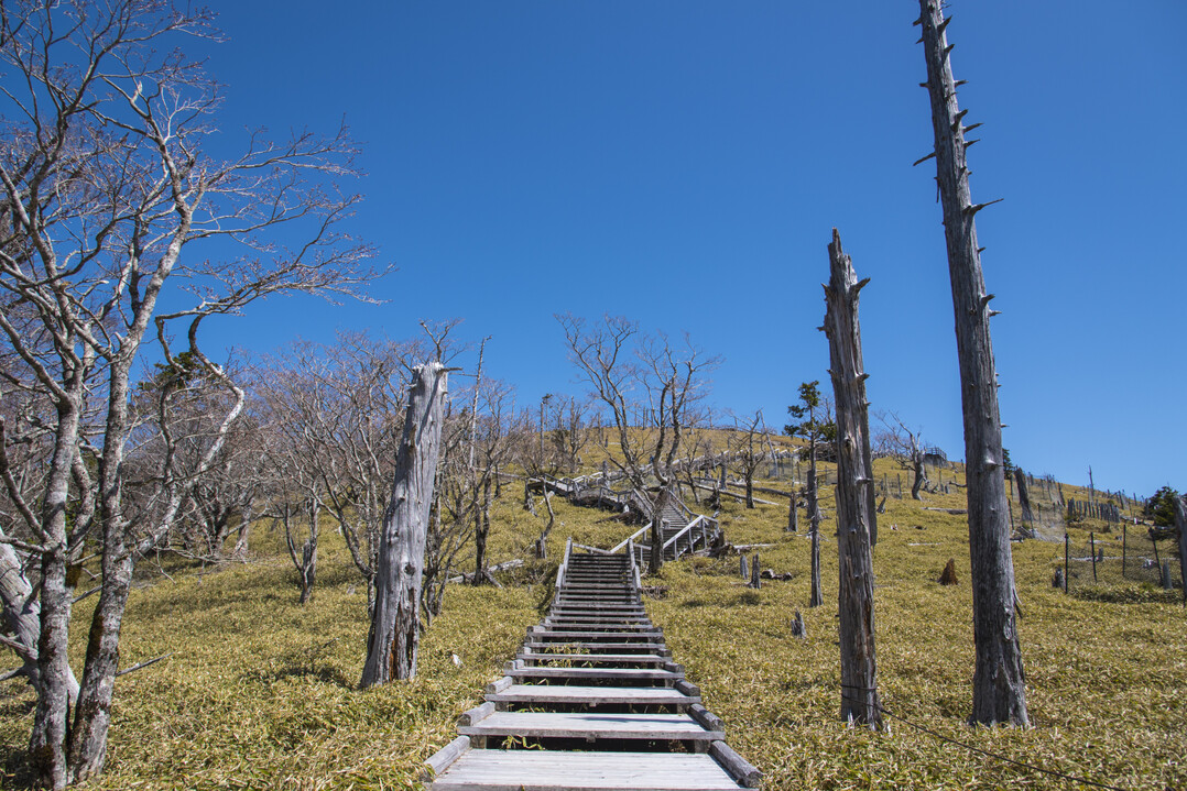 大台ヶ原山（日出ヶ岳）の最新登山情報 人気の登山ルート、写真、天気など Yamap ヤマップ