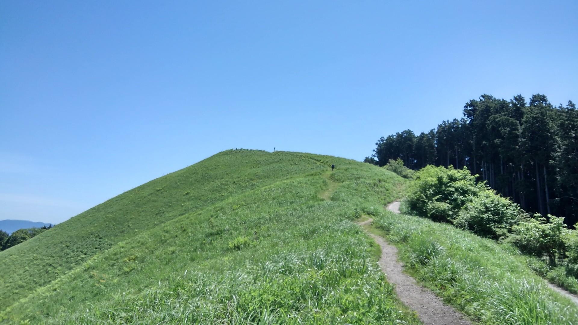 【登山】滝畑ダム～岩湧山～紀見峠縦走 / kota_papaさんの岩湧山・一徳防山・三石山の活動データ | YAMAP / ヤマップ