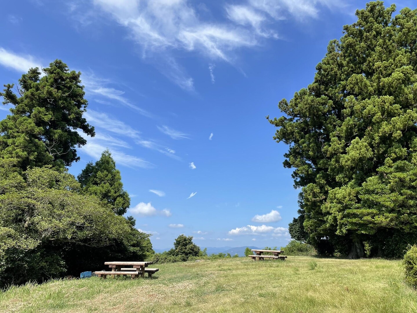 sea to 満観峰⛰️ / reoさんの焼津アルプス（高草山・満観峰・花沢山）・徳願寺山の活動データ | YAMAP / ヤマップ