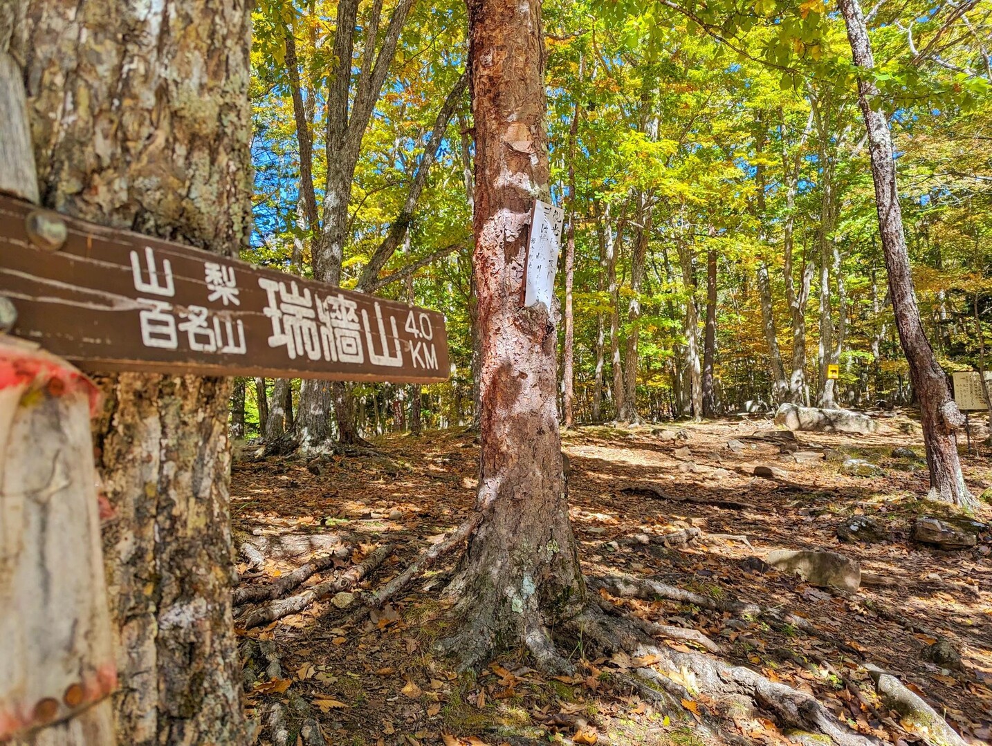 瑞牆山 / Fuさんの瑞牆山・金峰山の活動データ | YAMAP / ヤマップ
