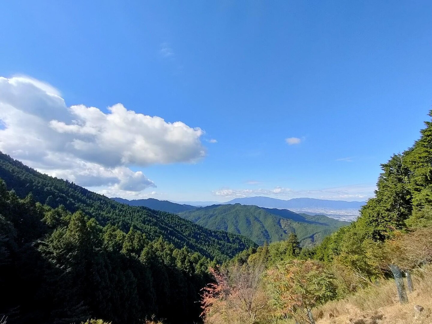 komaJさんの投稿したフィールドメモ | YAMAP / ヤマップ