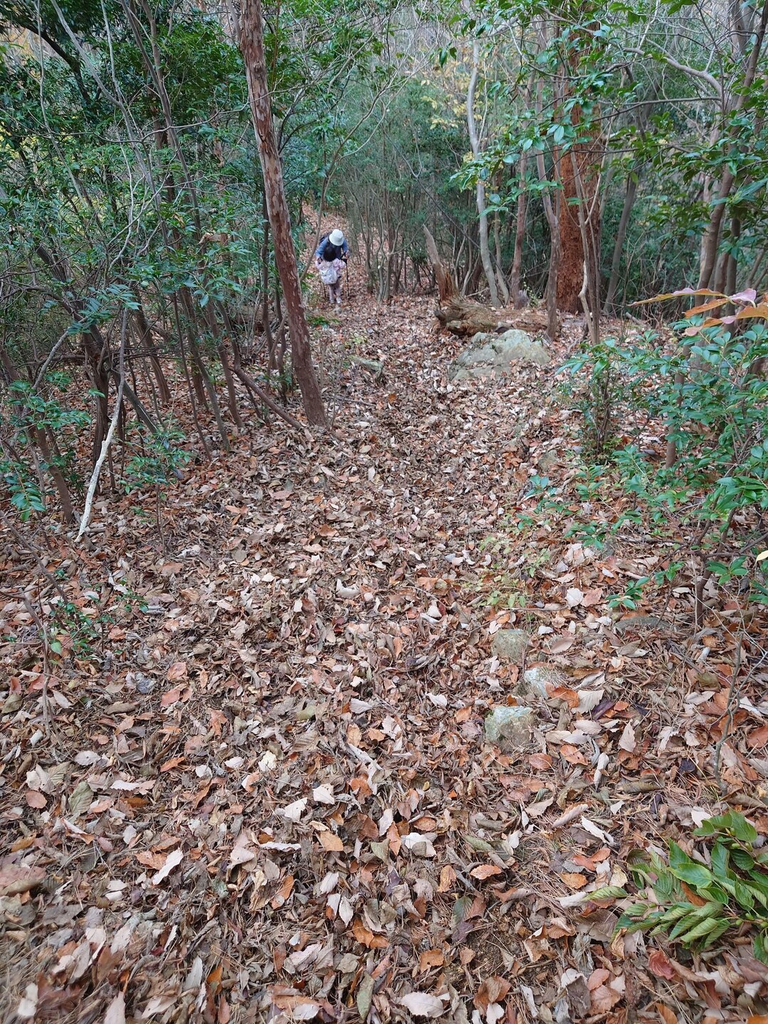 Tomさんの投稿したフィールドメモ | YAMAP / ヤマップ