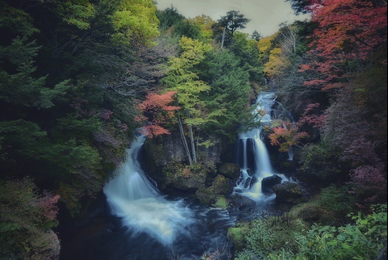 おはようございます😃 今日も快晴☀️ ... / yagao🏔 さんのモーメント | YAMAP / ヤマップ