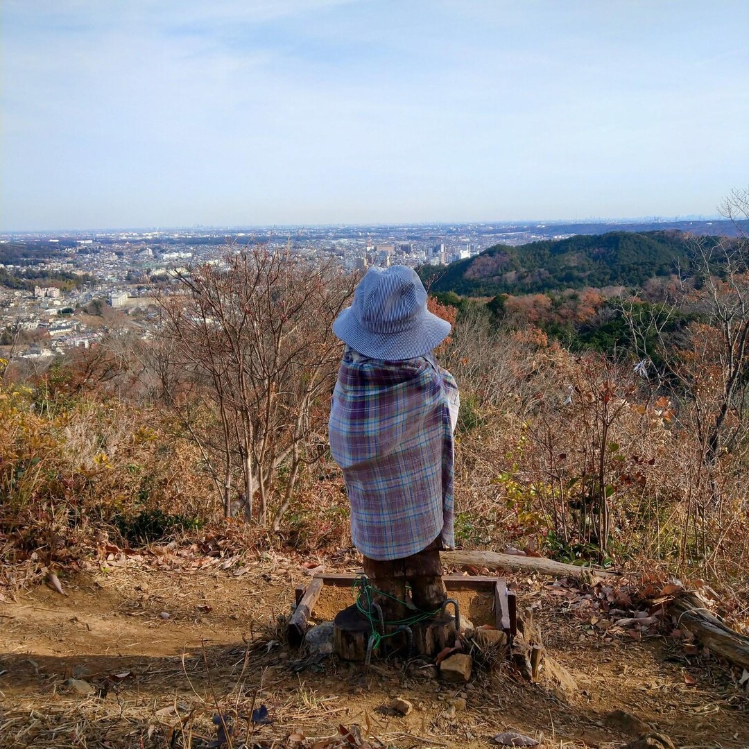 龍崖山・燧山・柏木山 / naotoさんの天覧山・多峯主山・天覚山の活動データ | YAMAP / ヤマップ