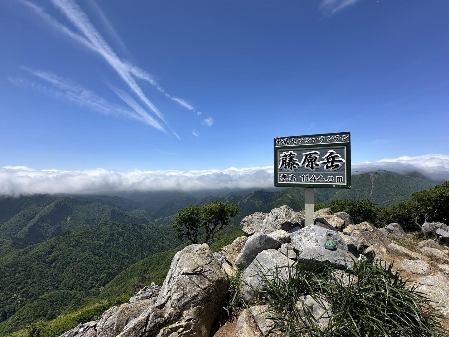 藤原岳 （孫太尾根ルート） / TKCさんの藤原岳・御池岳の活動データ | YAMAP / ヤマップ