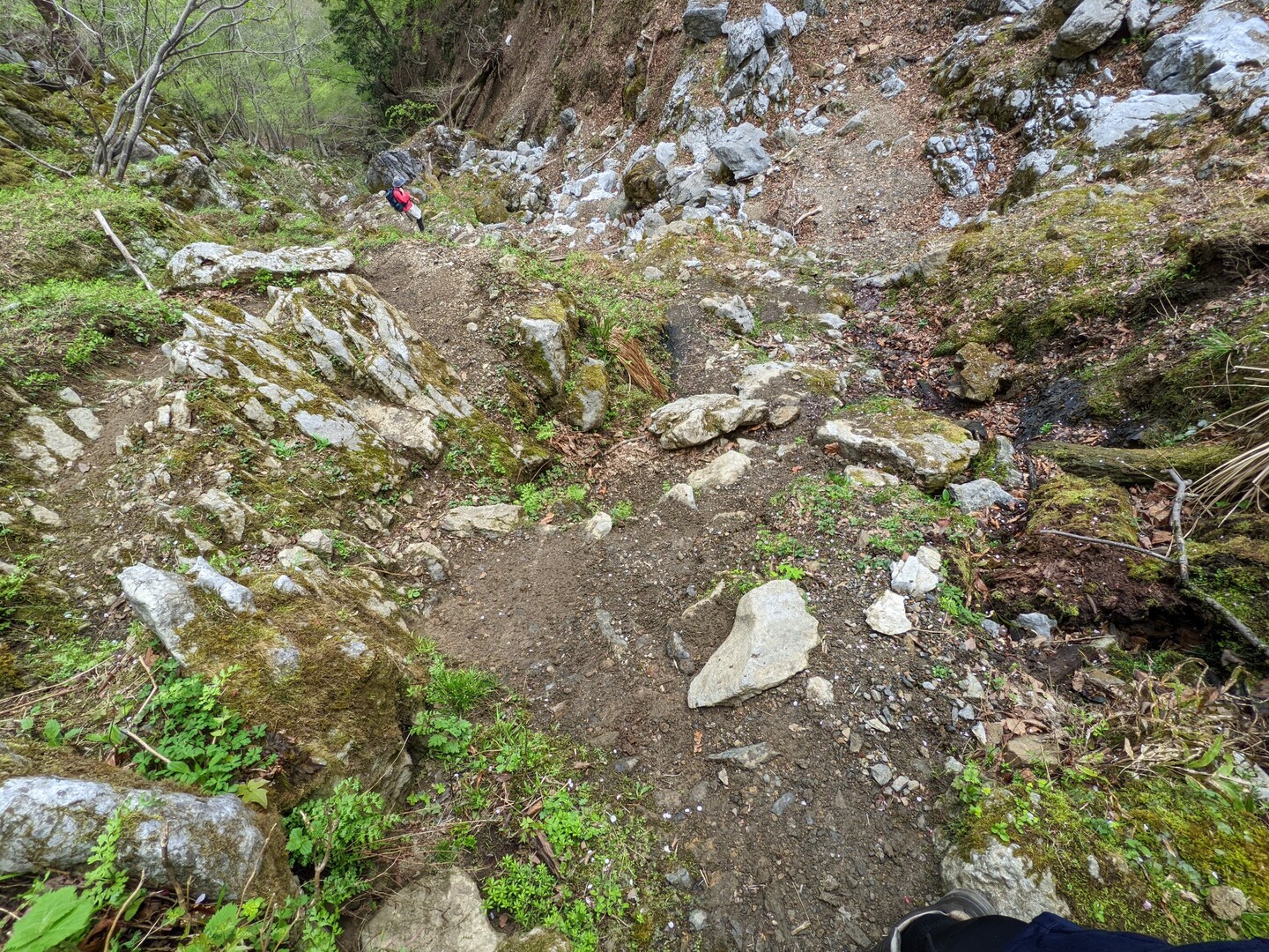 Stevenさんの投稿したフィールドメモ | YAMAP / ヤマップ