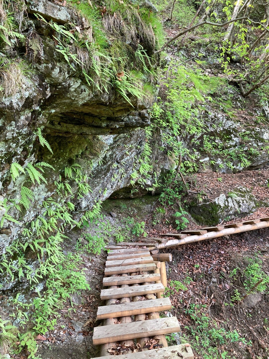 shouta （AX）さんの投稿したフィールドメモ | YAMAP / ヤマップ