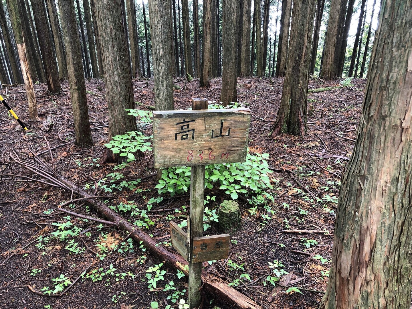 高山から穂積神社まで / りょうさんの高山・欅立山・梶原山の活動データ | YAMAP / ヤマップ