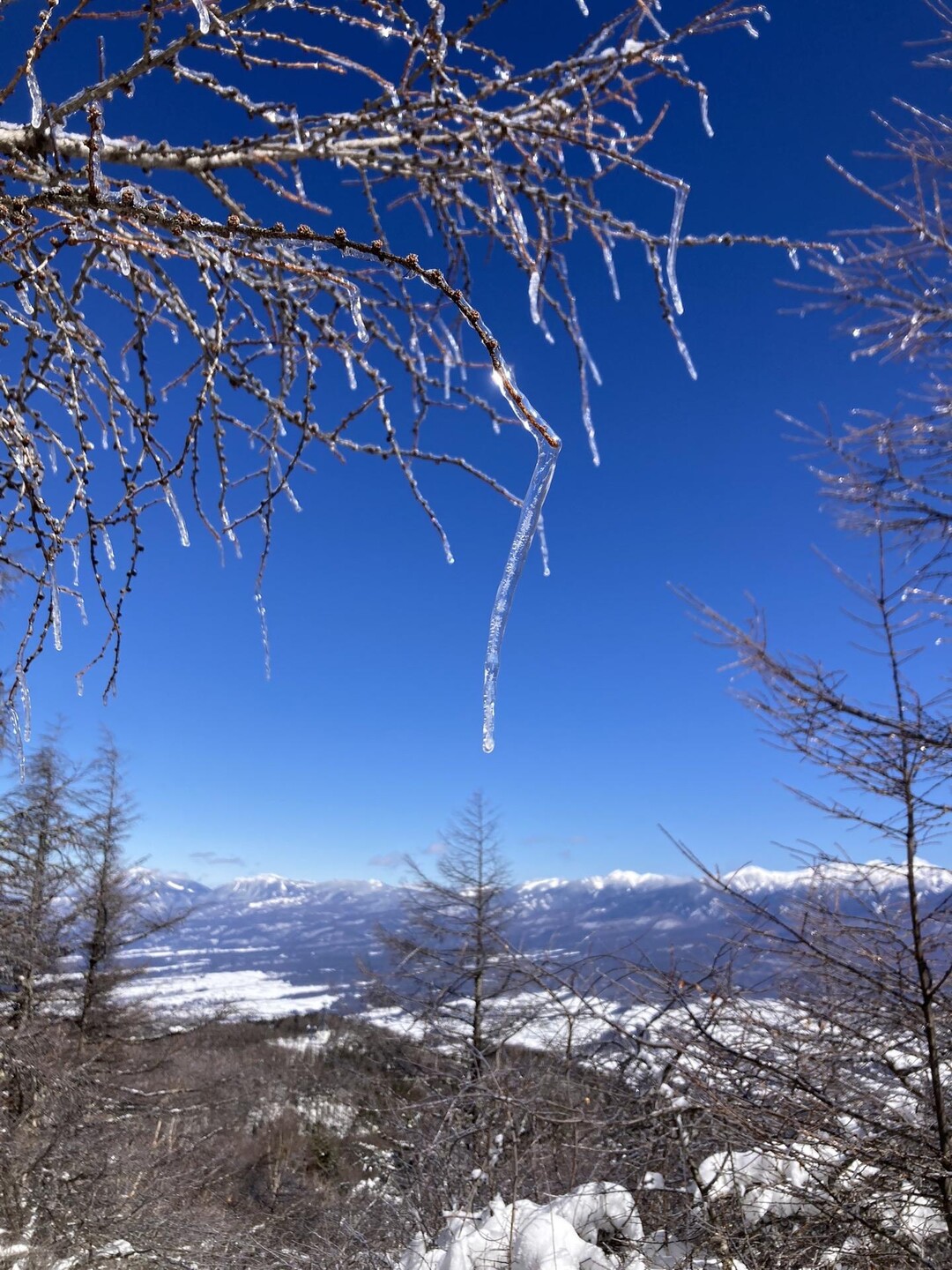 入笠山〜大阿原湿原周回 / maoさんの入笠山の活動データ | YAMAP / ヤマップ