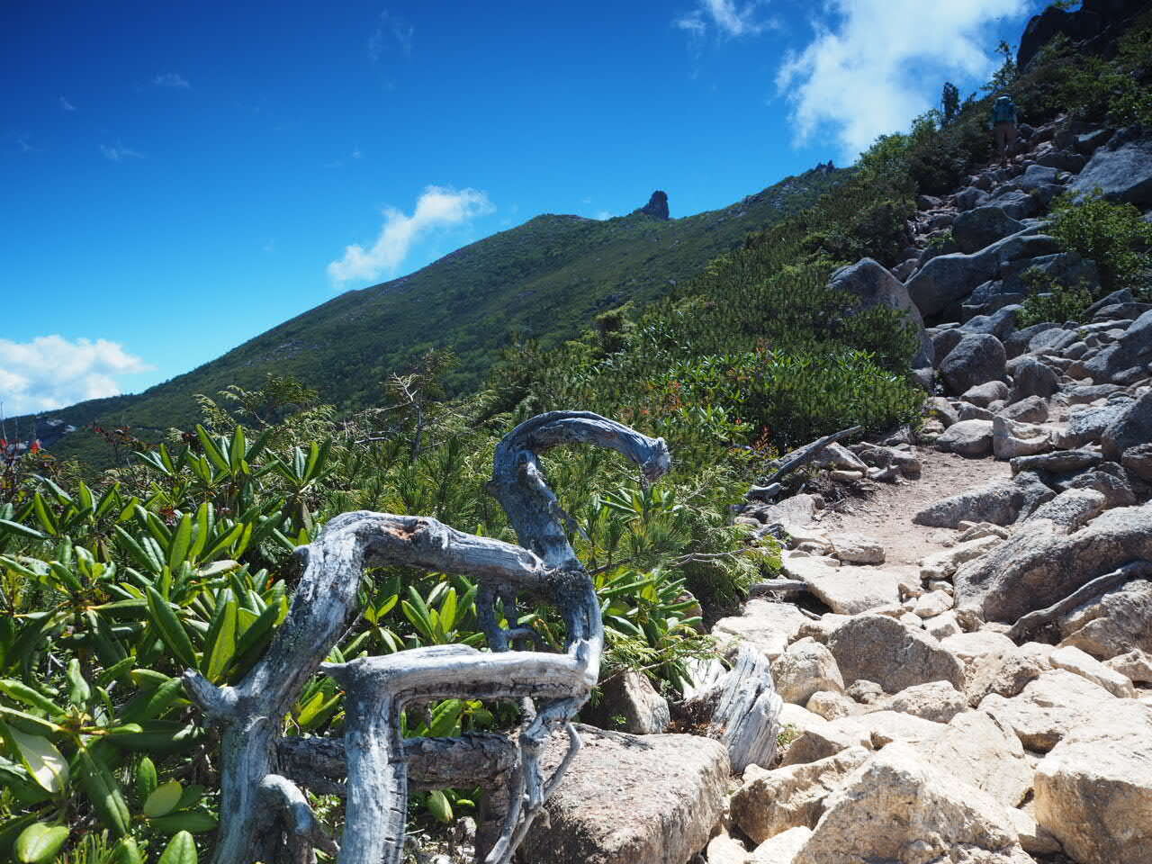 百名山 『金峰山』 2599m / YOKO.Mさんの瑞牆山・金峰山の活動データ | YAMAP / ヤマップ
