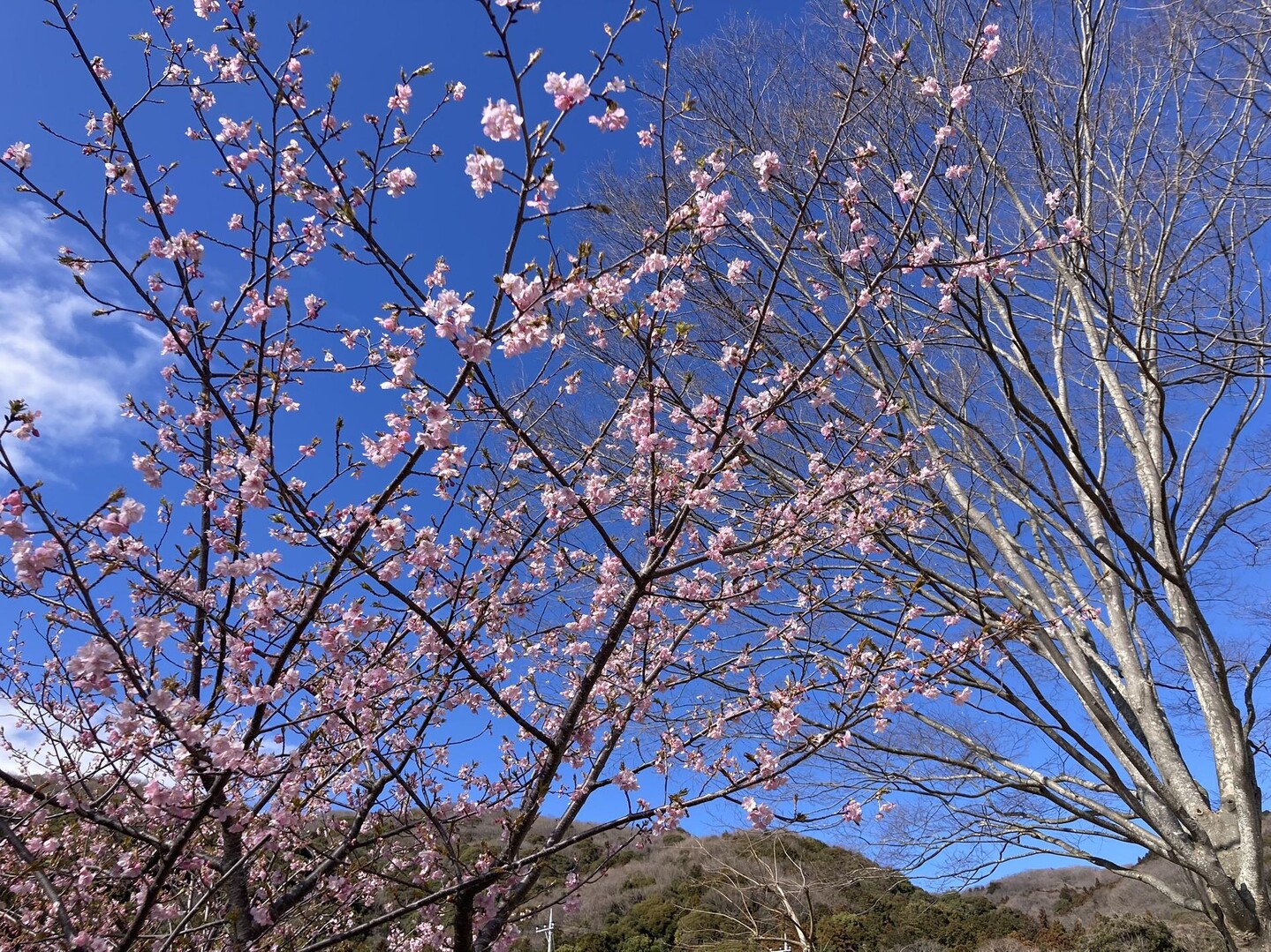 富岡山・尖浅間山・小町山・鬼越山・宝篋山 / maboさんの宝篋山・富岡山の活動データ | YAMAP / ヤマップ