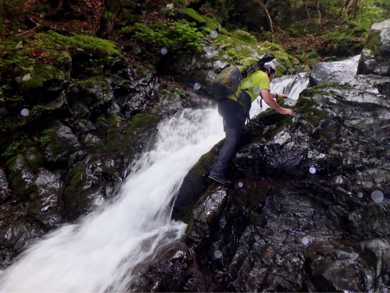 倉沢谷本谷 遡行 / Y-kobaさんの川苔山（川乗山）の活動データ | YAMAP / ヤマップ