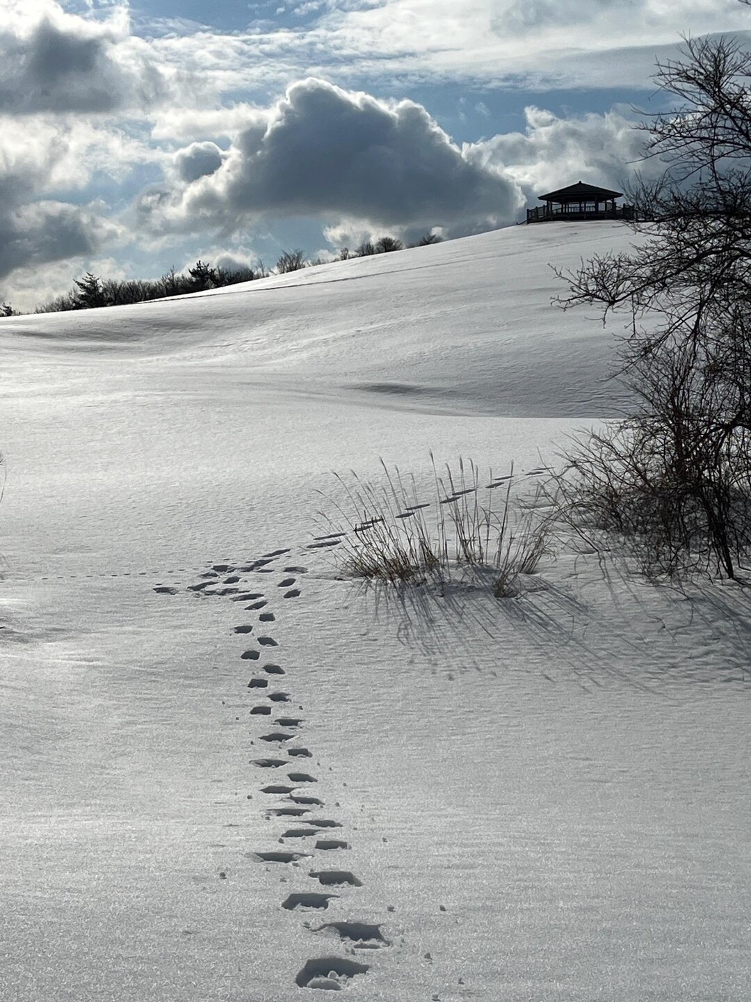 シェークダウン・寒風山・姫ヶ岳 / sada 23さんの男鹿半島の活動データ | YAMAP / ヤマップ