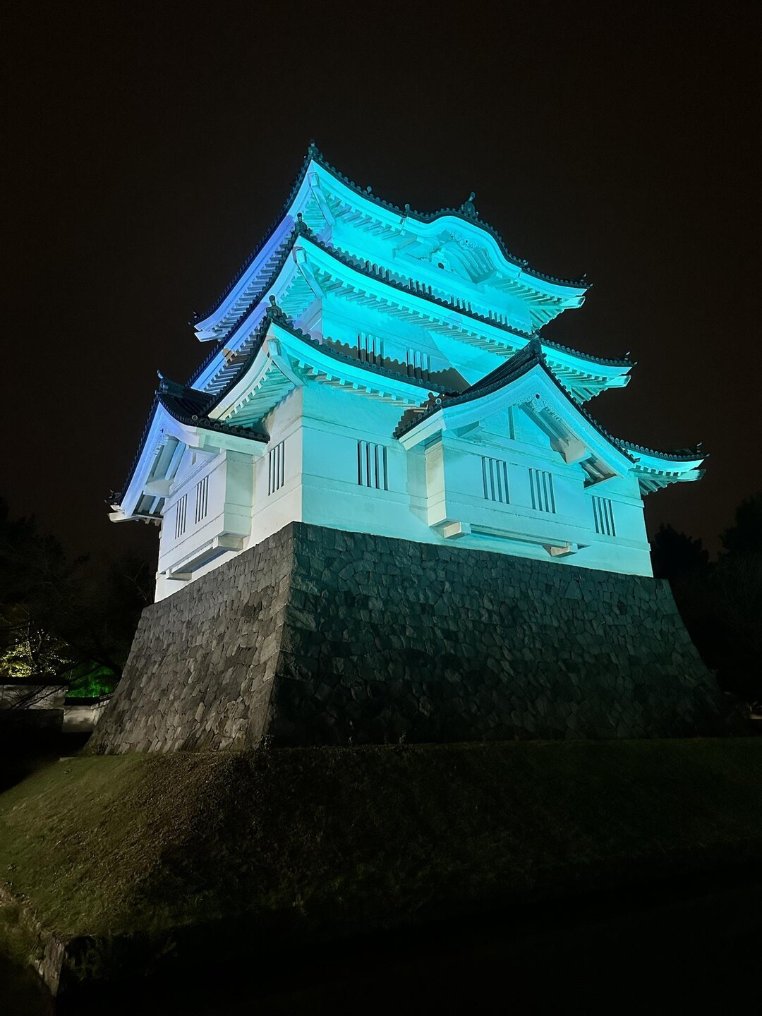 埼玉県行田市で「花手水week」ライトア... / ハナミズキさんのモーメント | YAMAP / ヤマップ