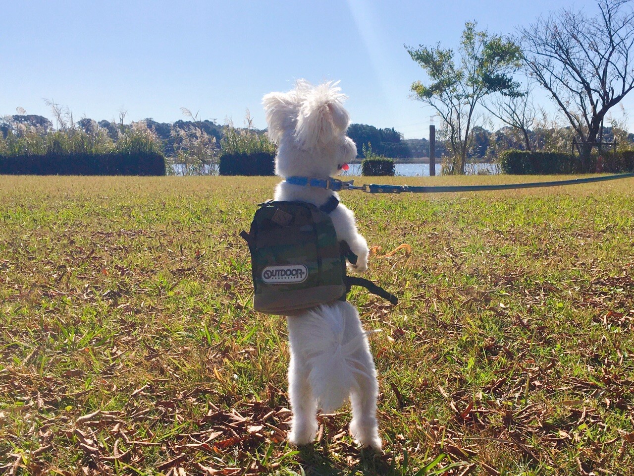 sada | YAMAP / ヤマップ