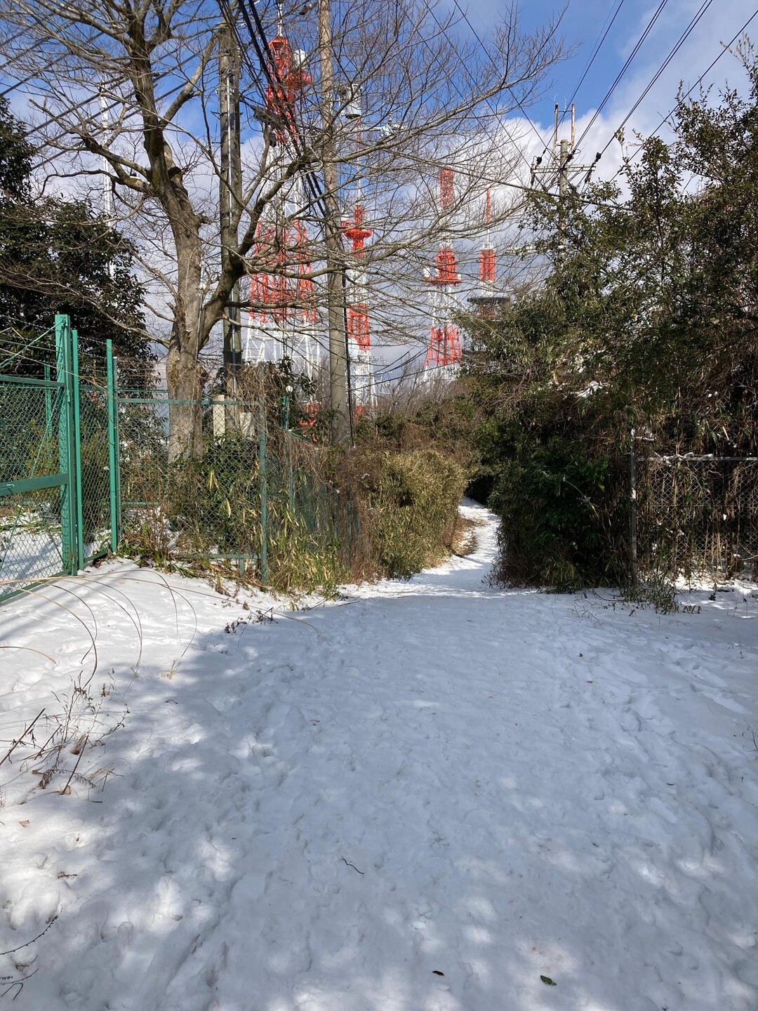 枚岡ー新石切 / kazz the pianistさんの生駒山・神津嶽・大原山の活動データ | YAMAP / ヤマップ