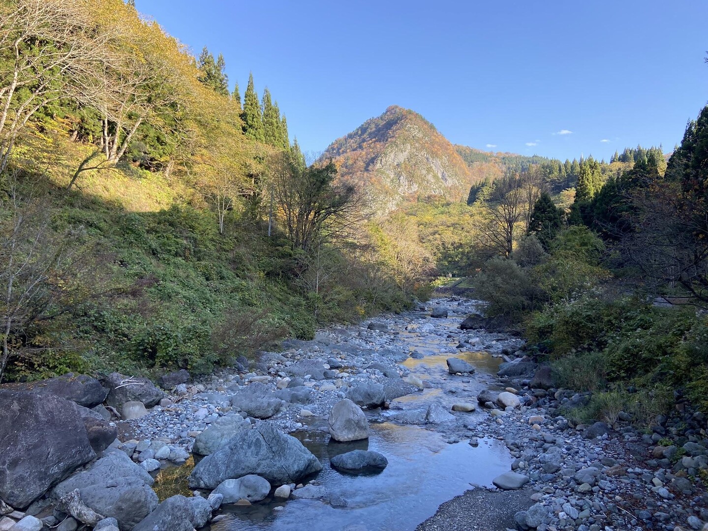 明星山-2023-11-03 / Amiさんの明星山の活動データ | YAMAP / ヤマップ