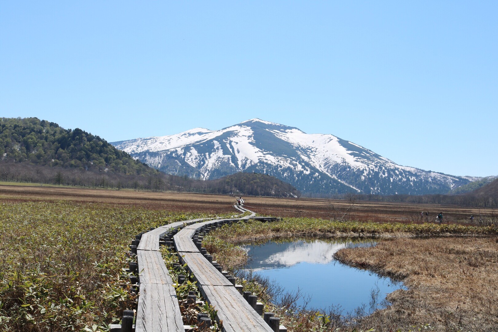 尾瀬 / mhさんの尾瀬・燧ヶ岳の活動日記 | YAMAP / ヤマップ