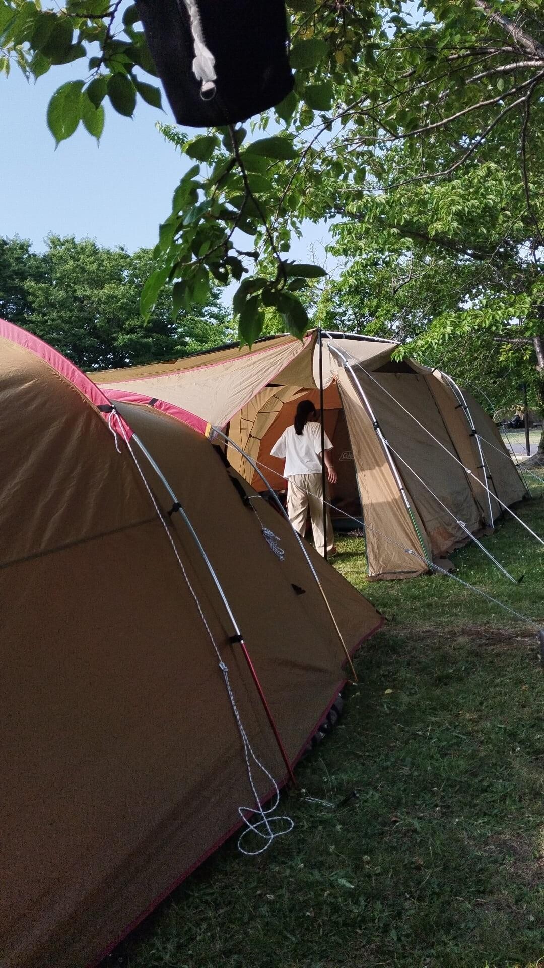 習い事で忙しい娘たちの為の 息抜きキャン... / ねこさんのモーメント | YAMAP / ヤマップ