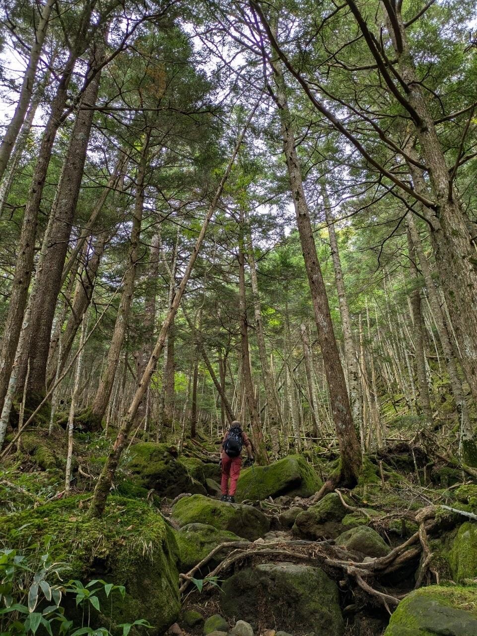 蓼科山・双子山 / みんさんの蓼科山・横岳・縞枯山の活動データ | YAMAP / ヤマップ
