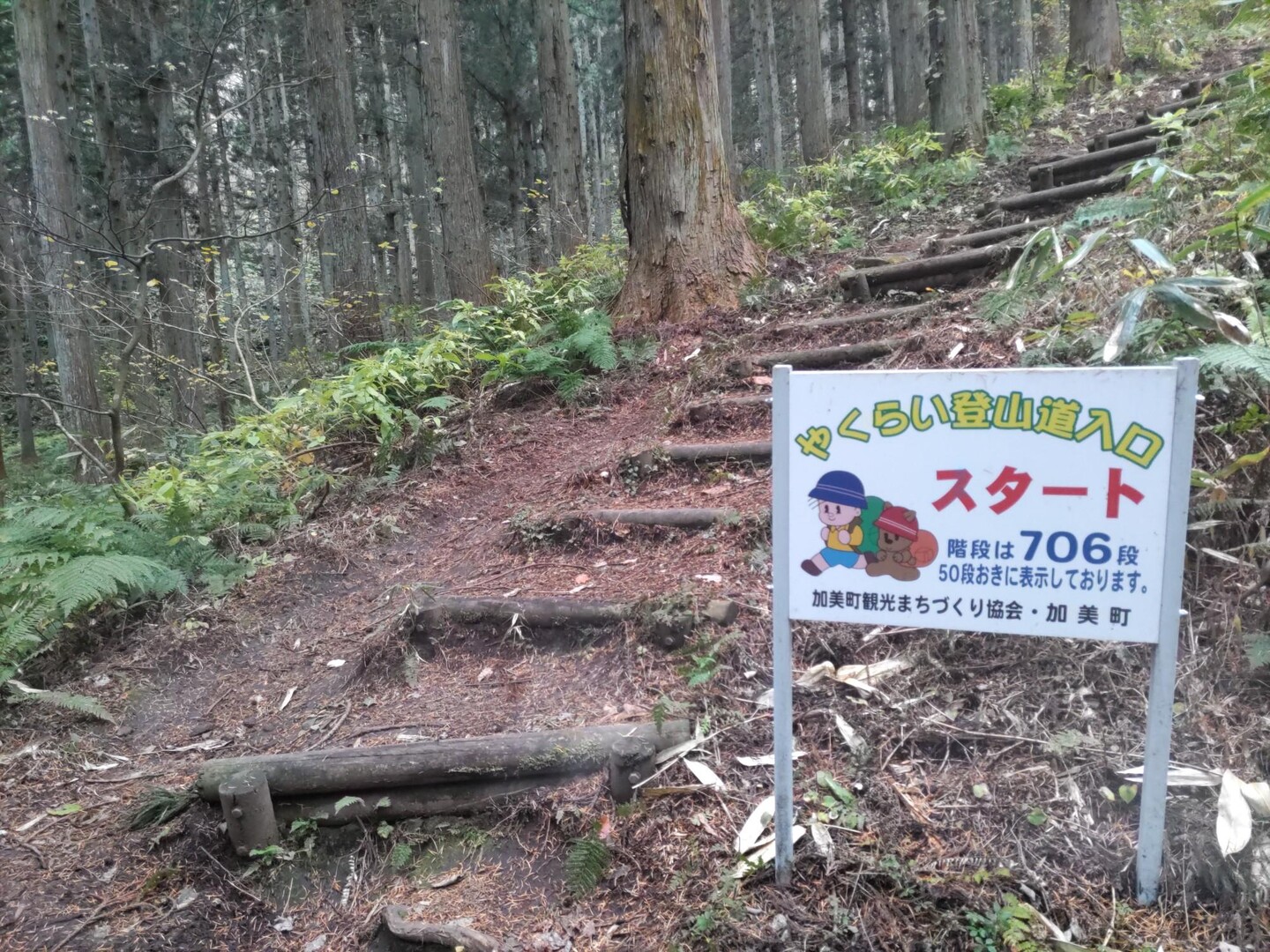 薬萊山 / drumscoさんの薬莱山の活動データ | YAMAP / ヤマップ