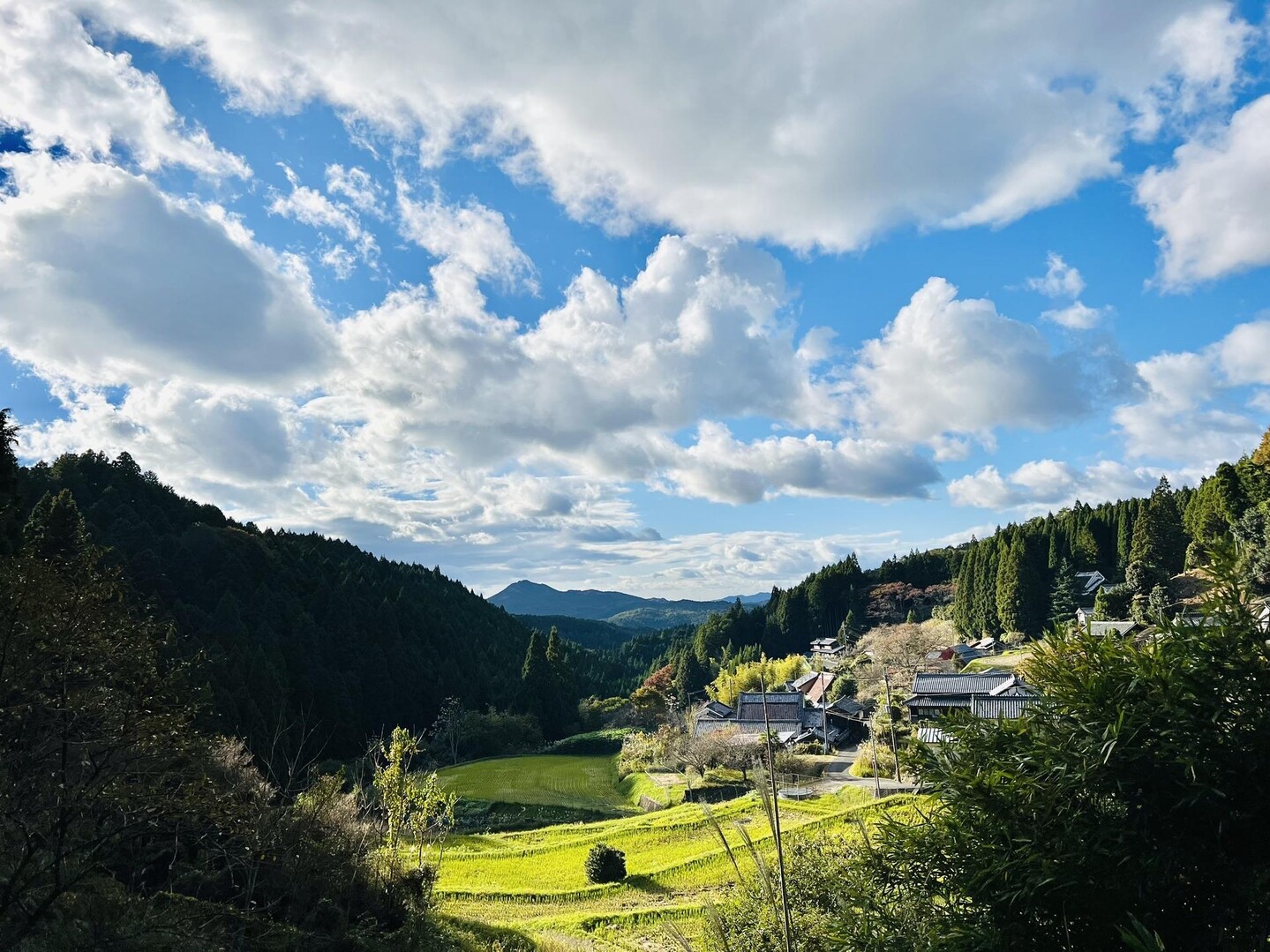 大平山・高峰山・高城岳・三郎岳・袴岳 / まやちょんさんの三郎岳・高城岳の活動日記 | YAMAP / ヤマップ