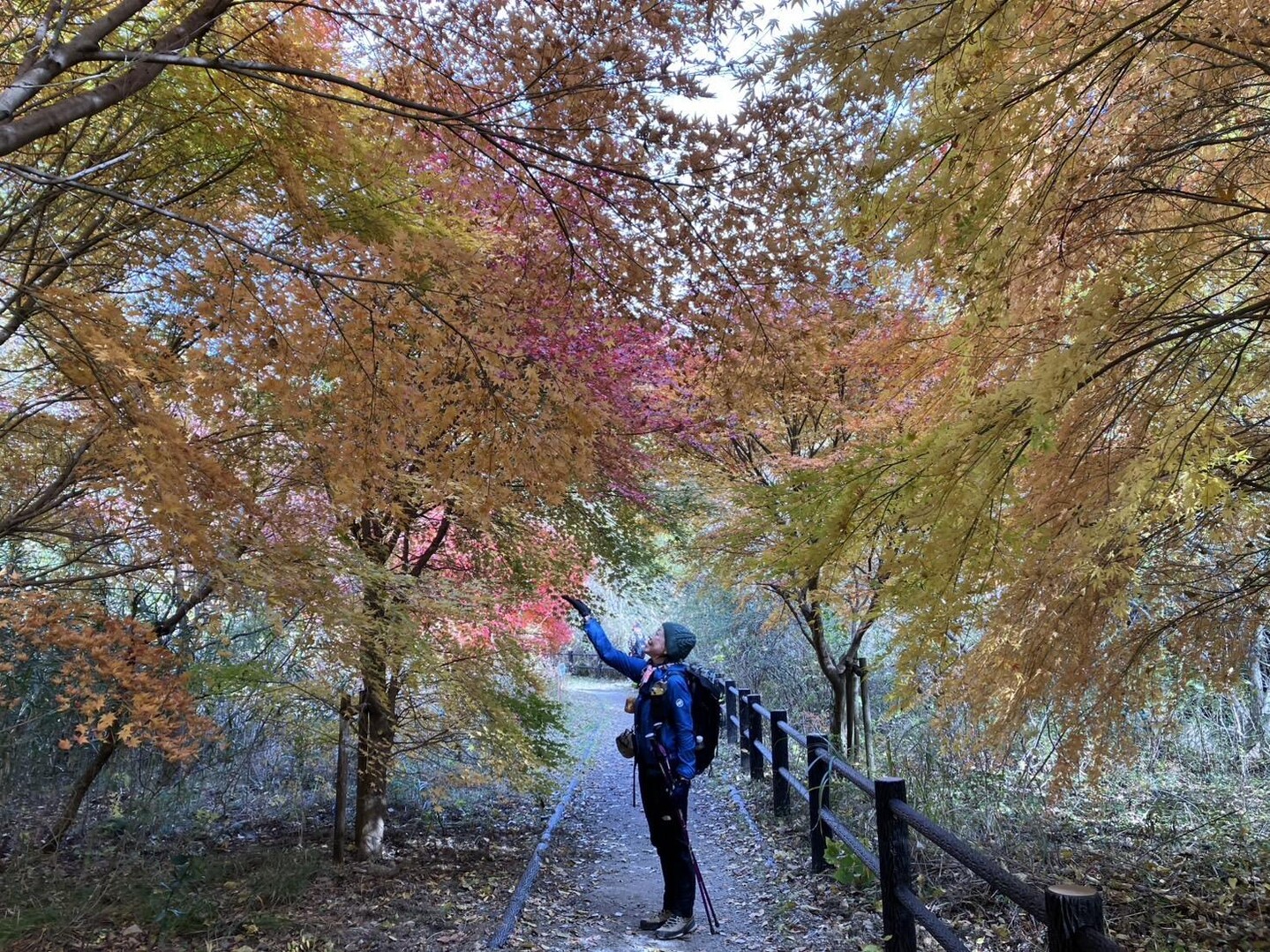 yoshikoのページ | YAMAP / ヤマップ