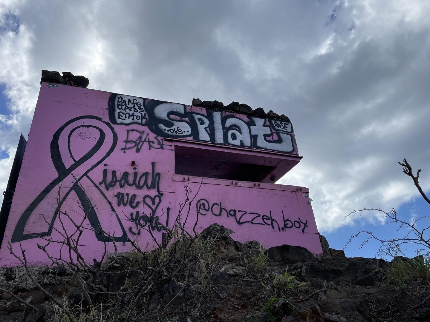 ピンク・ピルボックス / hideさんのホノルル（ハワイオアフ島）の活動日記 | YAMAP / ヤマップ