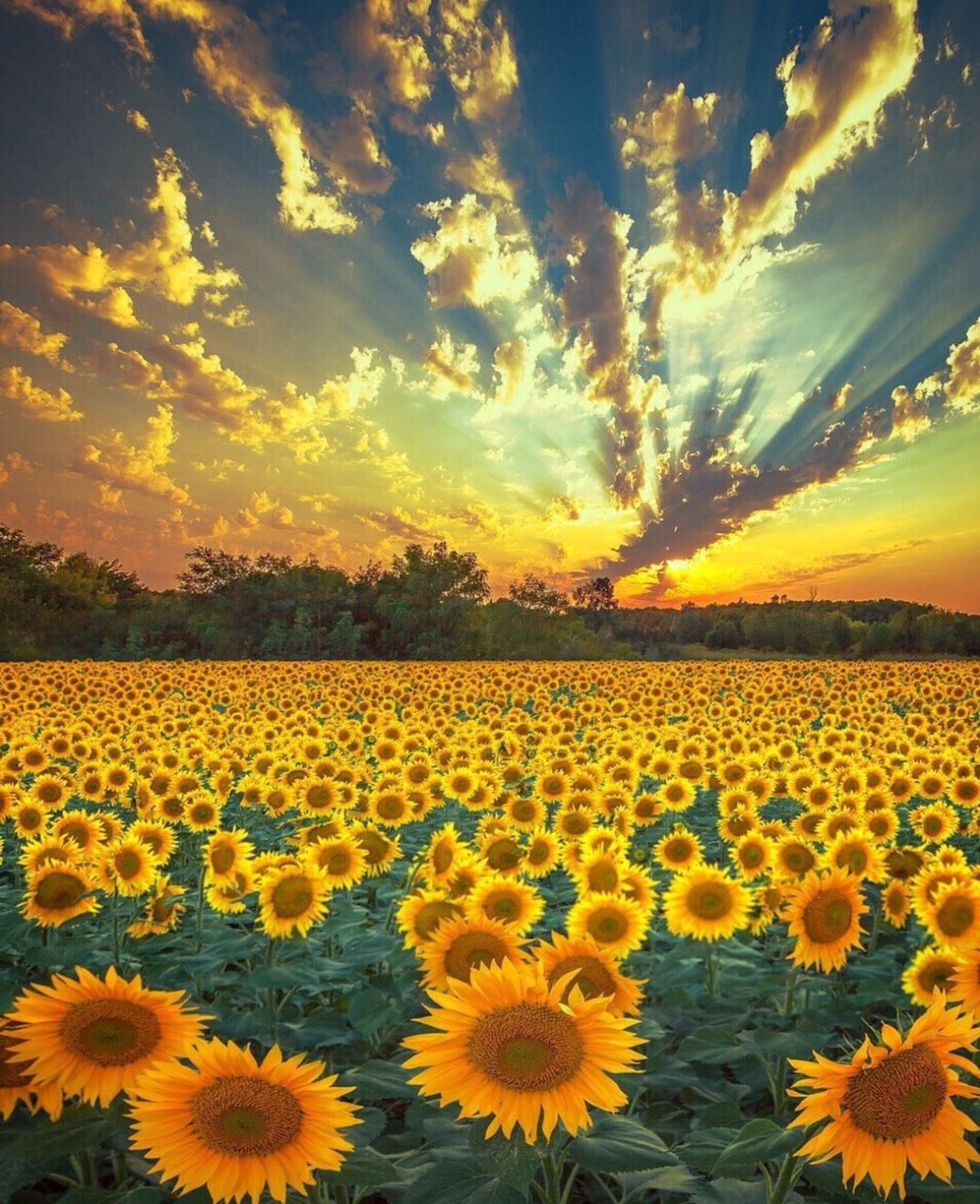 MIYUのページ | YAMAP / ヤマップ