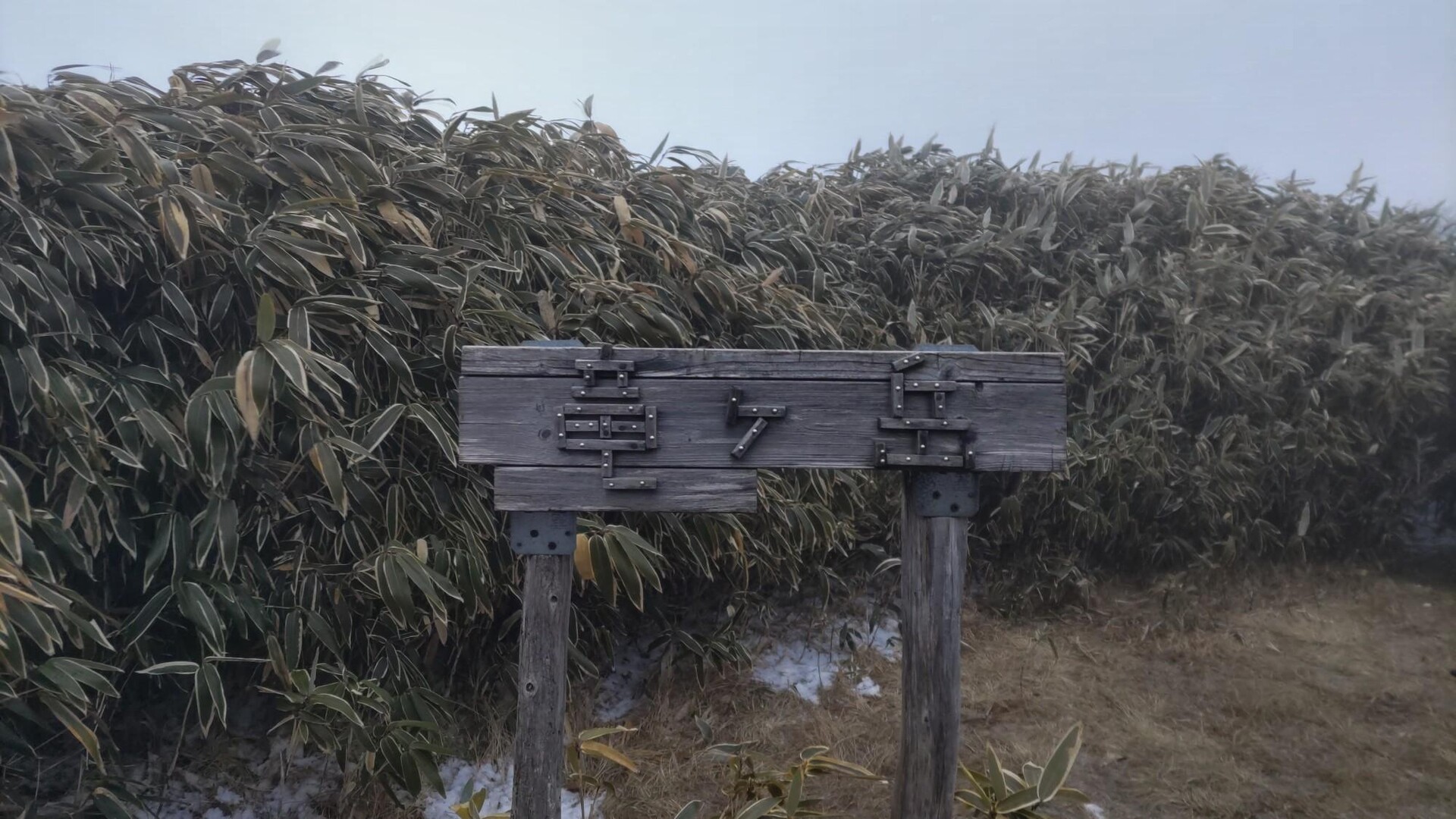 竜ヶ岳 / kazu-haさんの毛無山・雨ヶ岳・竜ヶ岳の活動データ | YAMAP / ヤマップ