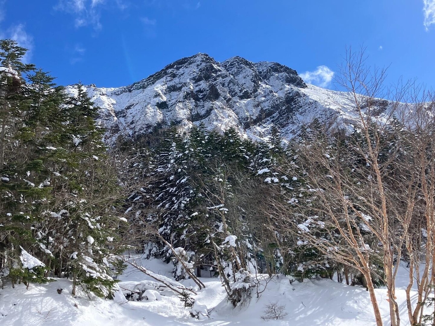 阿弥陀岳北陵 / j-saitohさんの八ヶ岳（赤岳・硫黄岳・天狗岳）の活動データ | YAMAP / ヤマップ