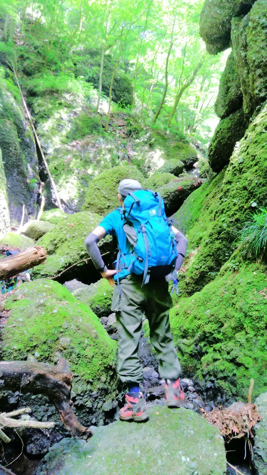 涼を求めて湯沢源流 / まっくすさんの奥久慈男体山・月居山・篭岩（篭岩山）の活動データ | YAMAP / ヤマップ