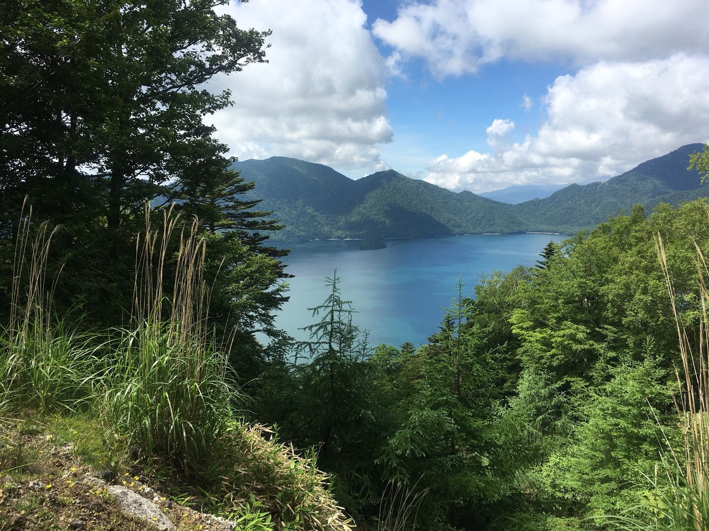 男体山-2018-07-01 / yayaさんの男体山の活動データ | YAMAP / ヤマップ