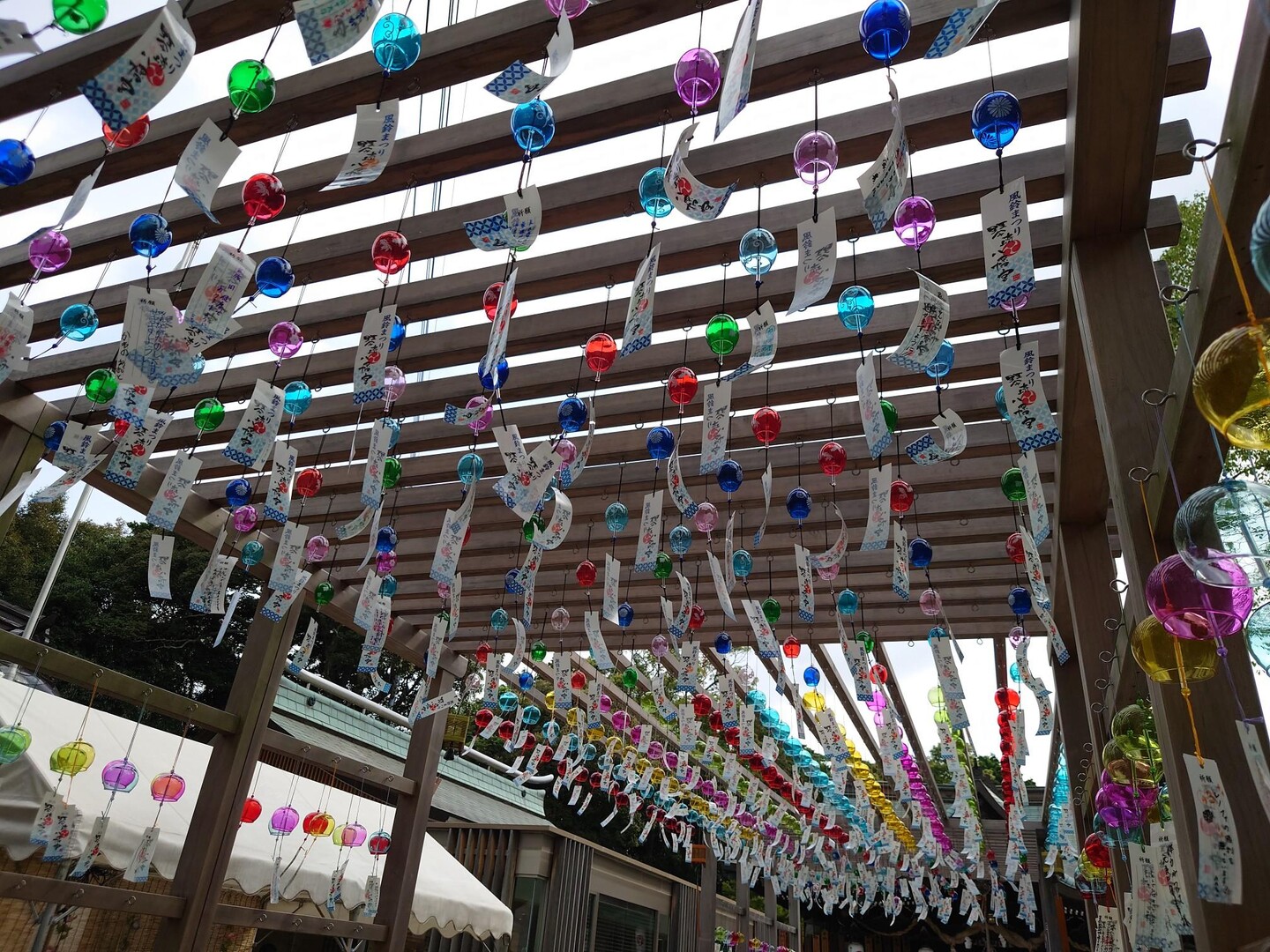 涼を求めて風鈴祭り🎐とピークハント⛰ / Bobにゃんさんの竜王山の活動データ | YAMAP / ヤマップ