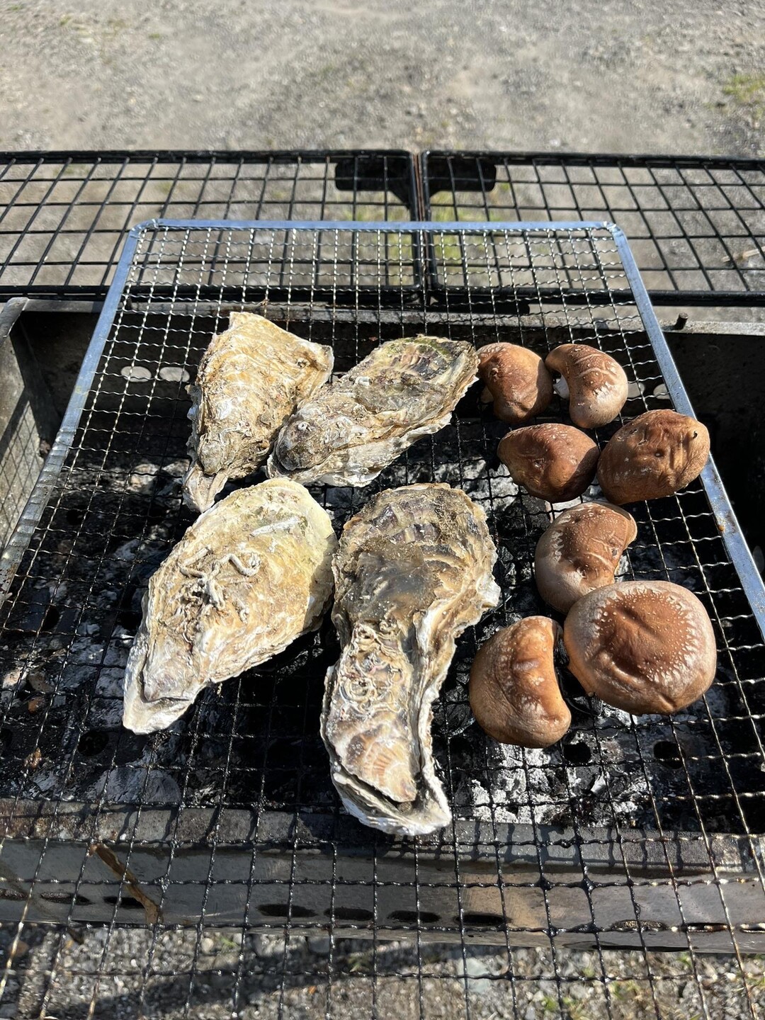 今日は山に行かず家族でBBQ🍖🦪 美... / サッサさんのモーメント | YAMAP / ヤマップ