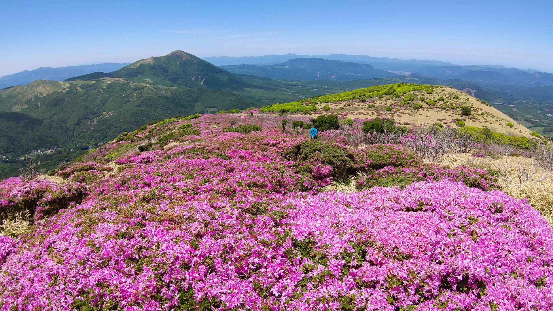 黒岩山・大崩ノ辻 / yotsuさんの九重山（久住山）・大船山・星生山の活動データ | YAMAP / ヤマップ