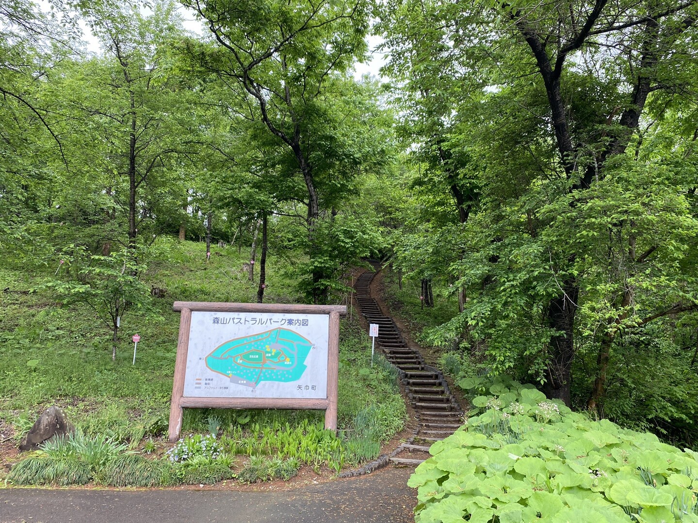 熊野森 その① / sue sannさんの南昌山・東根山・箱ヶ森の活動データ | YAMAP / ヤマップ