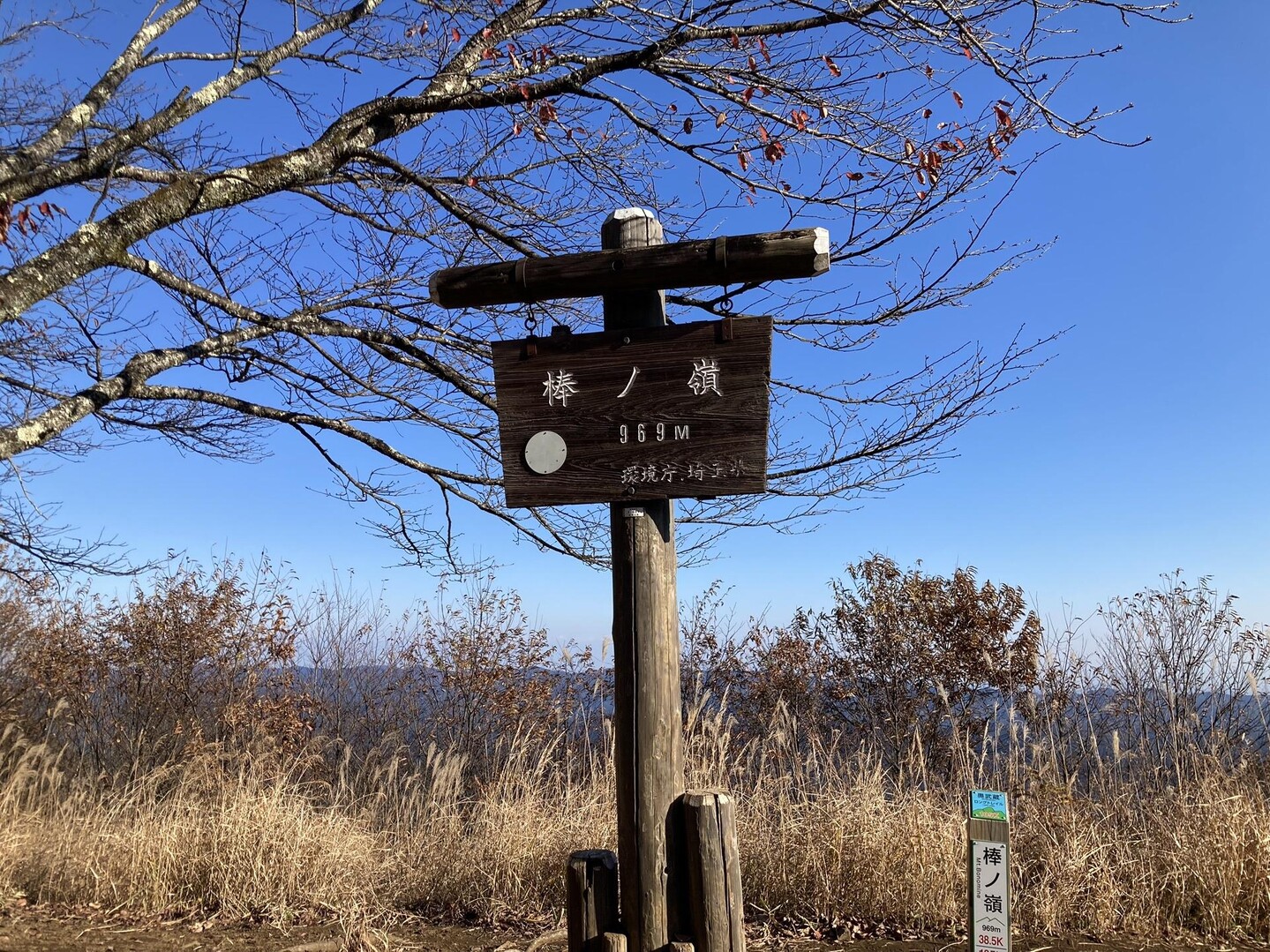 棒ノ嶺から大仁田山へ / plasmonさんの棒ノ折山（棒ノ嶺）の活動データ | YAMAP / ヤマップ