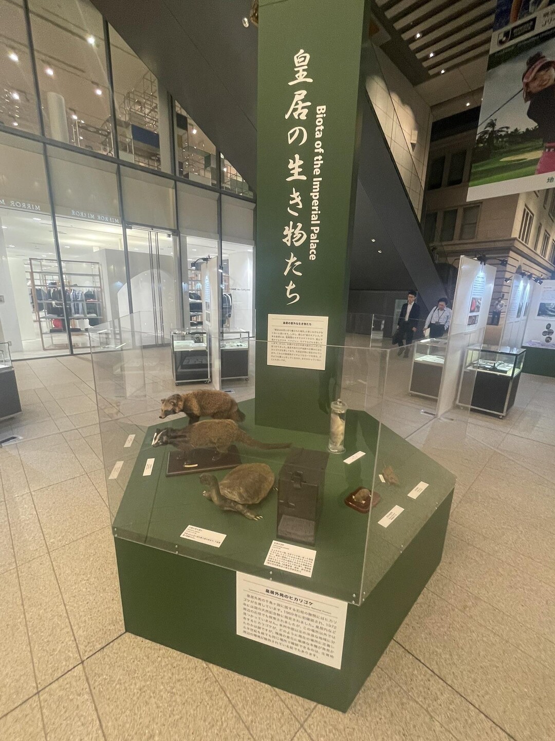 皇居の生き物たち 展示。 搬入プロジェク... / hideshanさんのモーメント | YAMAP / ヤマップ