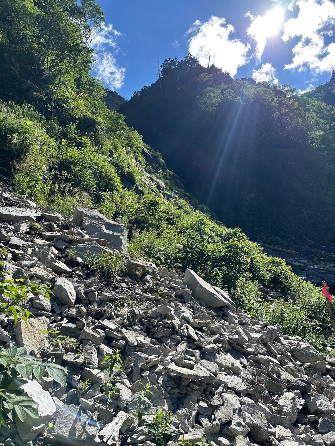 Jangers ジャンガースさんの投稿したフィールドメモ | YAMAP / ヤマップ