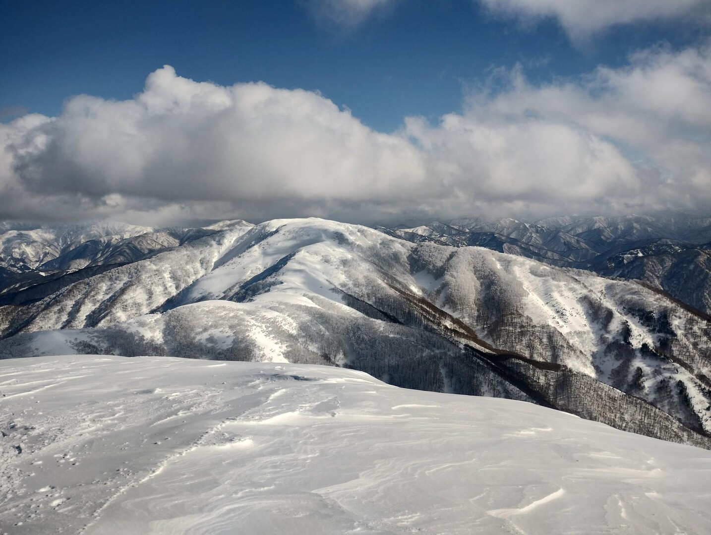 前山・銀杏峯・部子山 / TKGさんの銀杏峰・部子山の活動データ | YAMAP / ヤマップ