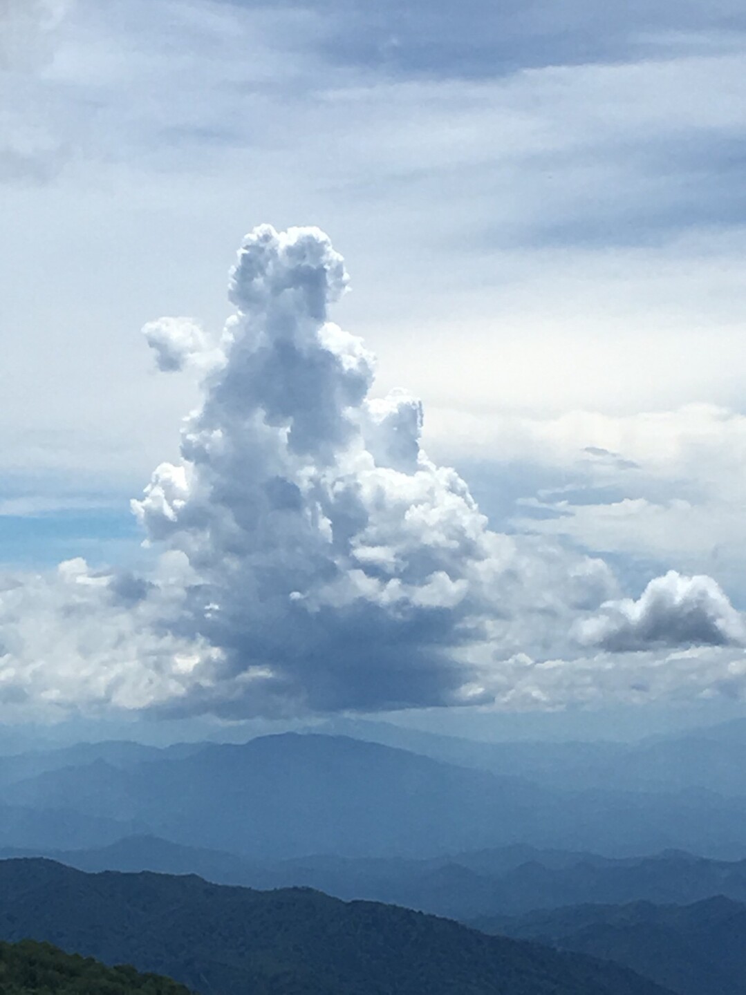 ブドウ沢〜切り合わせ小山 / bateniceさんの飯豊山・大日岳・御西岳の活動データ | YAMAP / ヤマップ