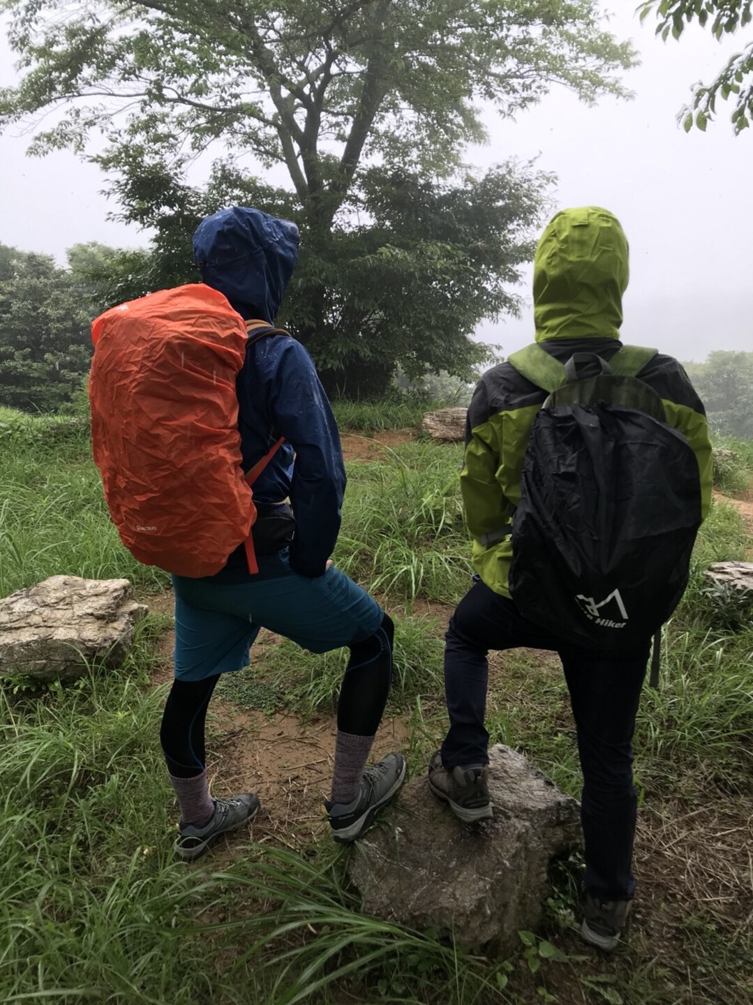 湖西連峰 おちばの里親水公園 / Masakingさんの坊ヶ峰・石巻山・神石山・葦毛湿原の活動データ | YAMAP / ヤマップ