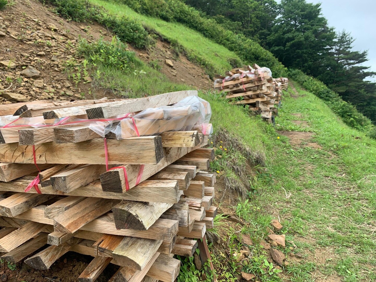 鳳凰山 / Reiさんの鳳凰山の活動データ | YAMAP / ヤマップ