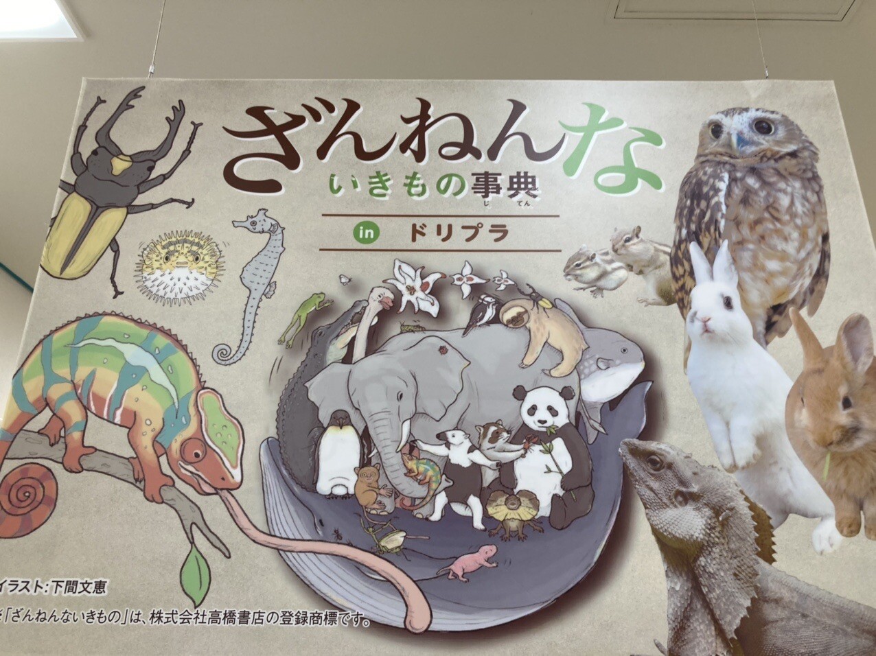 ウォーキング-2021-08-14 / まーちゃん0805さんのウォーキングの活動データ | YAMAP / ヤマップ
