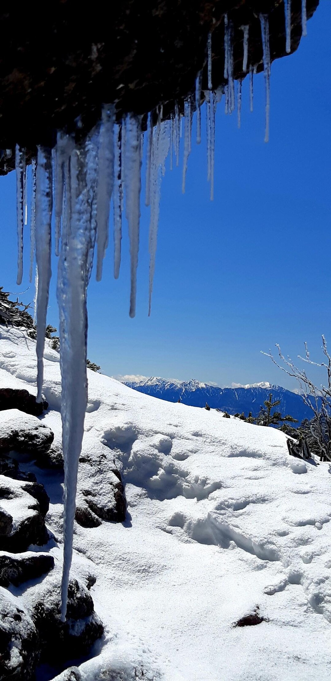 北横岳（南峰）・三ッ岳・雨池山 / Heroさんの蓼科山・横岳・縞枯山の活動データ | YAMAP / ヤマップ