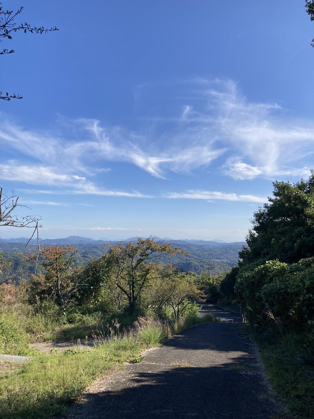 経ヶ丸山 / cbmdさんの御領山の活動データ | YAMAP / ヤマップ