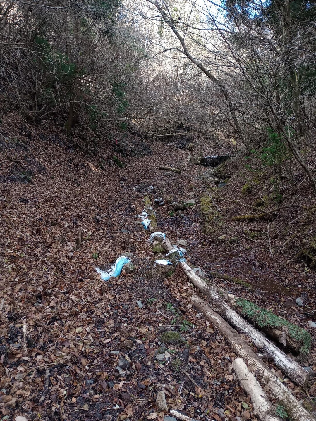 GNMTさんの投稿したフィールドメモ | YAMAP / ヤマップ