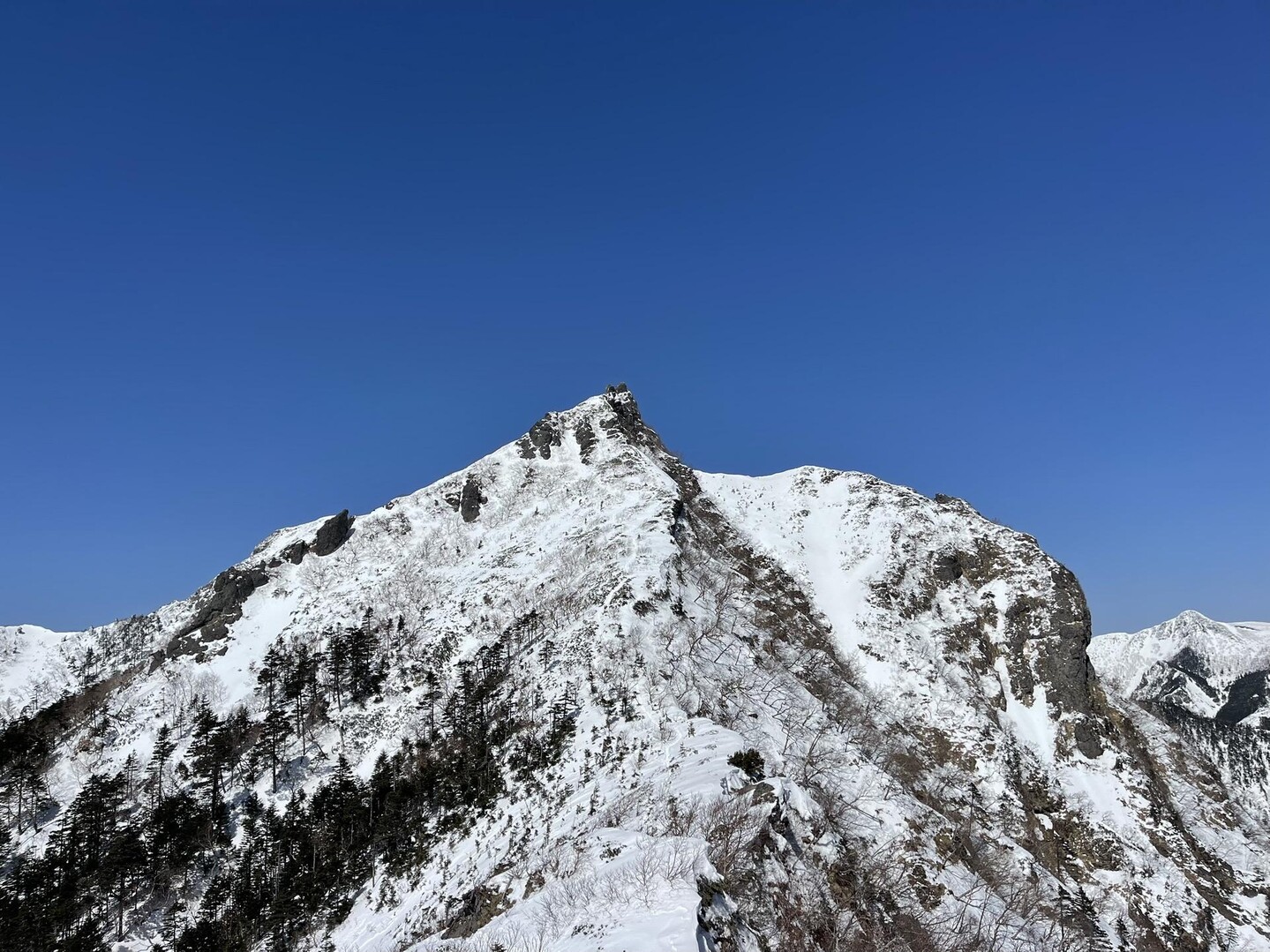 権現岳 / aki.sさんの八ヶ岳（赤岳・硫黄岳・天狗岳）の活動日記 | YAMAP / ヤマップ