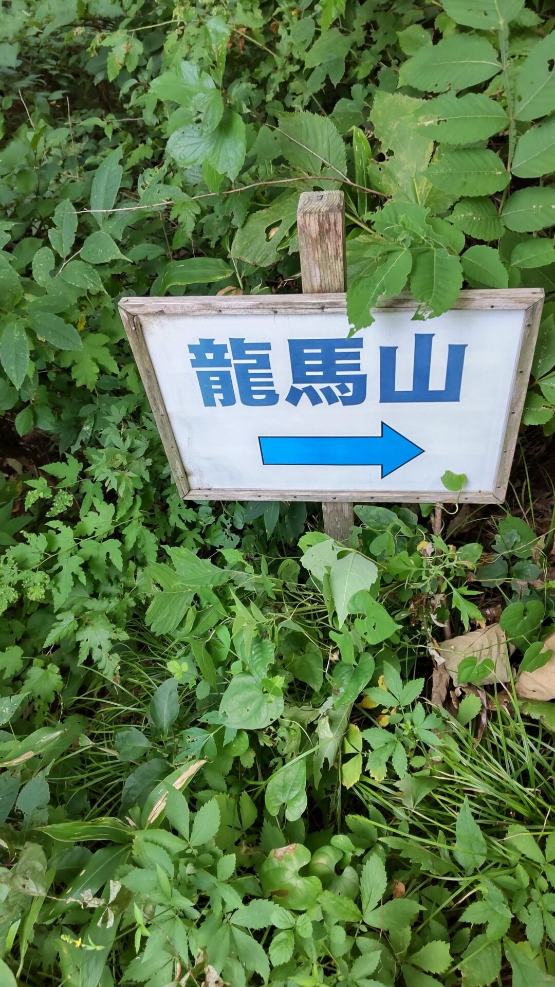 竜馬山 / *みのりさんの東光山の活動データ | YAMAP / ヤマップ